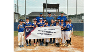Georgia Little League > Home